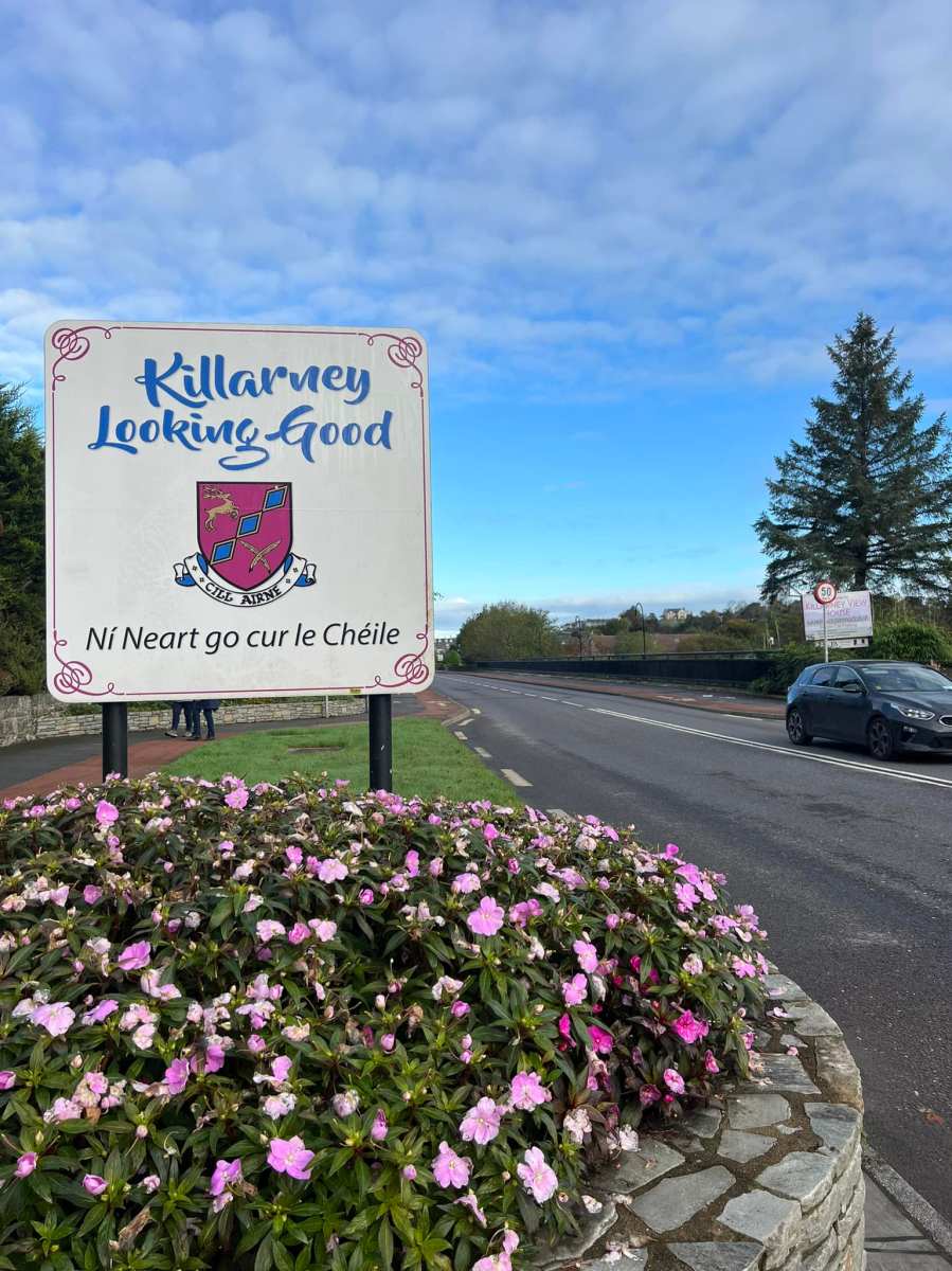 History – Killarney Tidy Towns